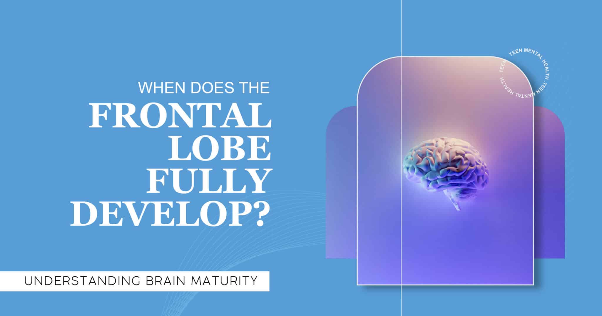 When Does The Frontal Lobe Fully Develop? - Hillside Horizon For Teens
