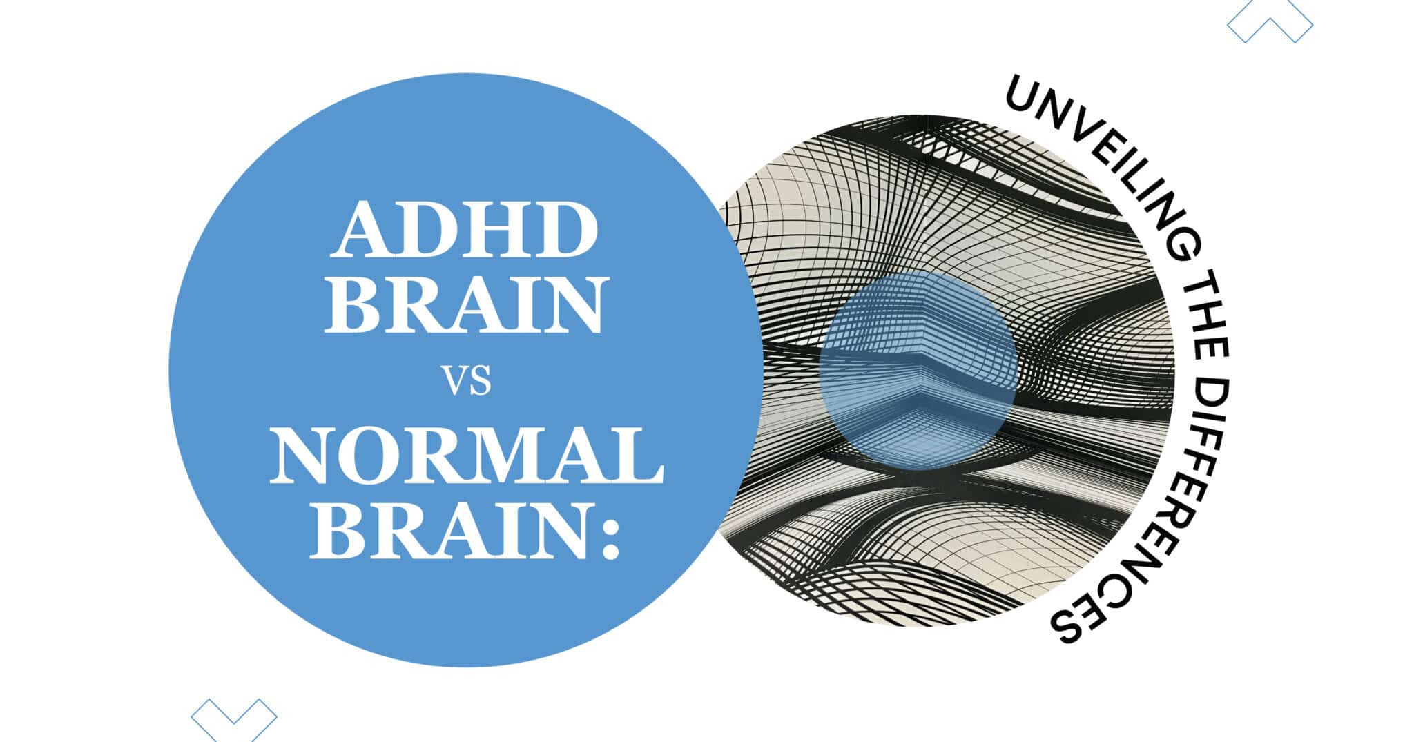 ADHD Brain vs Normal Brain: Key Neurological Differences